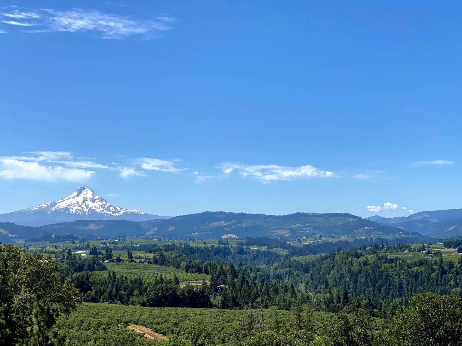 5 things to know about the Hood River Fruit Loop – Together Anywhere