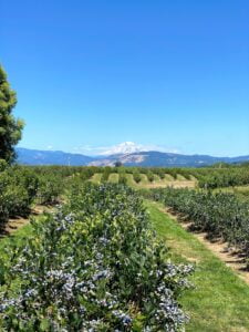 5 things to know about the Hood River Fruit Loop – Together Anywhere