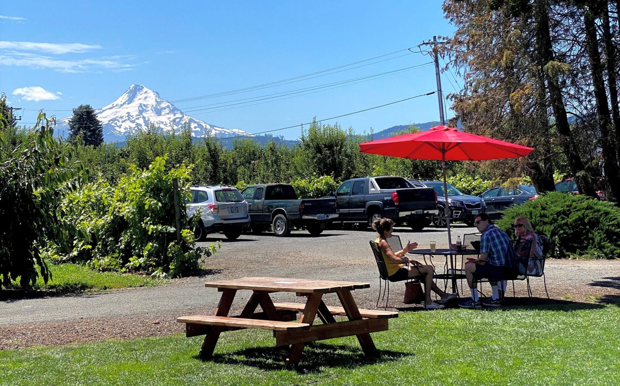 What to do in each season along the Hood River Fruit Loop – Together ...