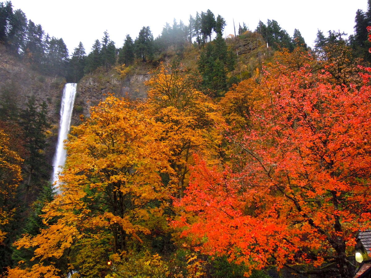 5 perfect autumn Oregon road trips – Together Anywhere